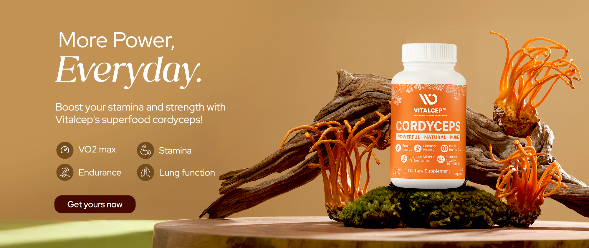 Vitalcep | Buy Cordyceps Militaris (Keedajadi) Capsules Online India