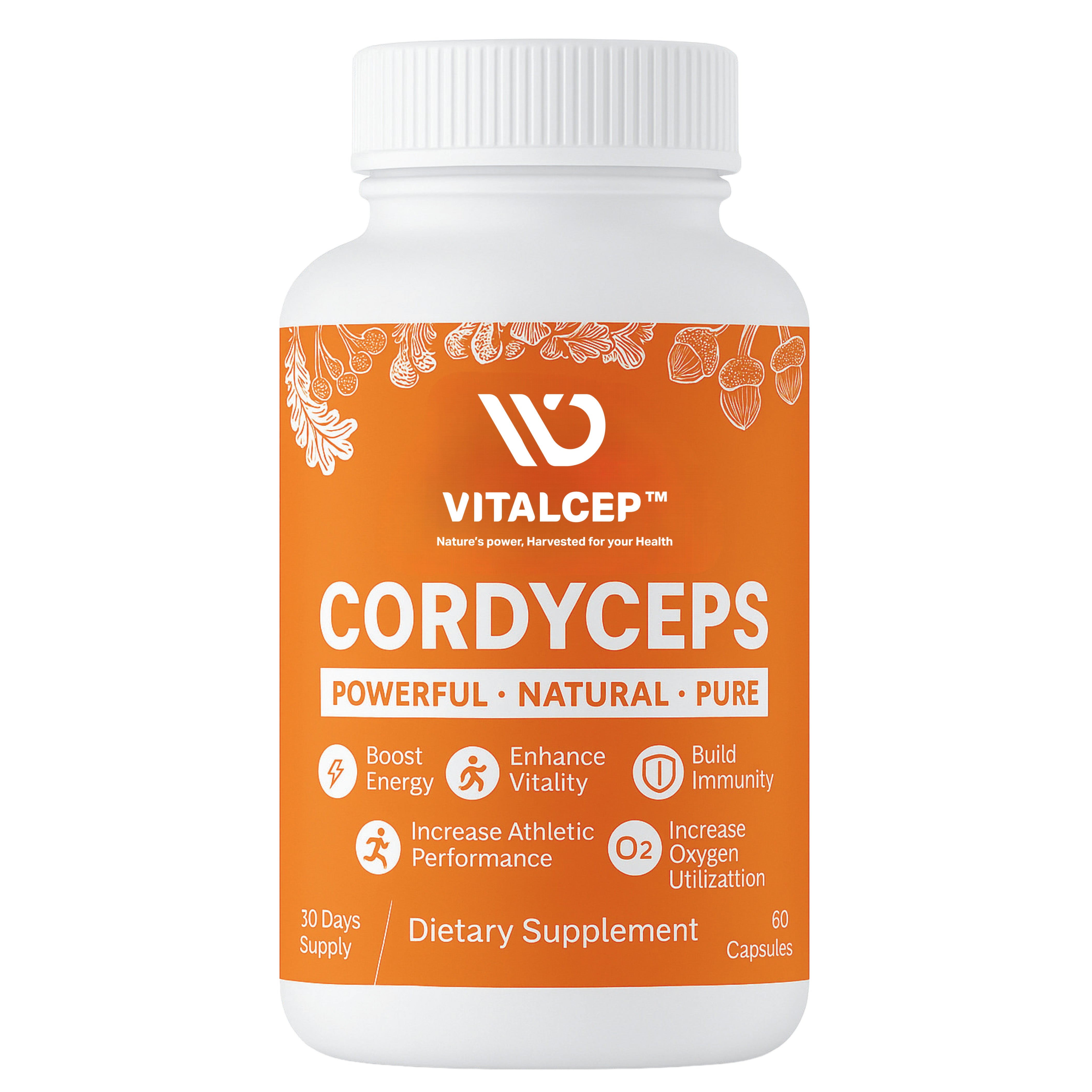 Cordyceps Militaris Capsules (Keedajadi) | 500mg High-Potency ...